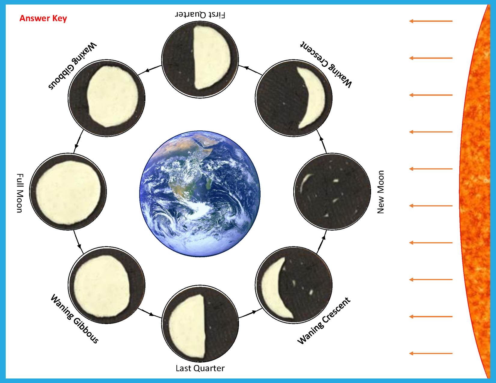 Oreo Moon Phase Activity - STEM Supplies