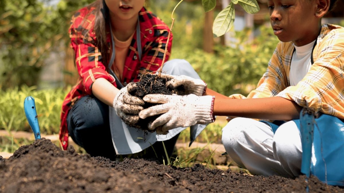 The Wonders of Environmental Education - STEM Supplies