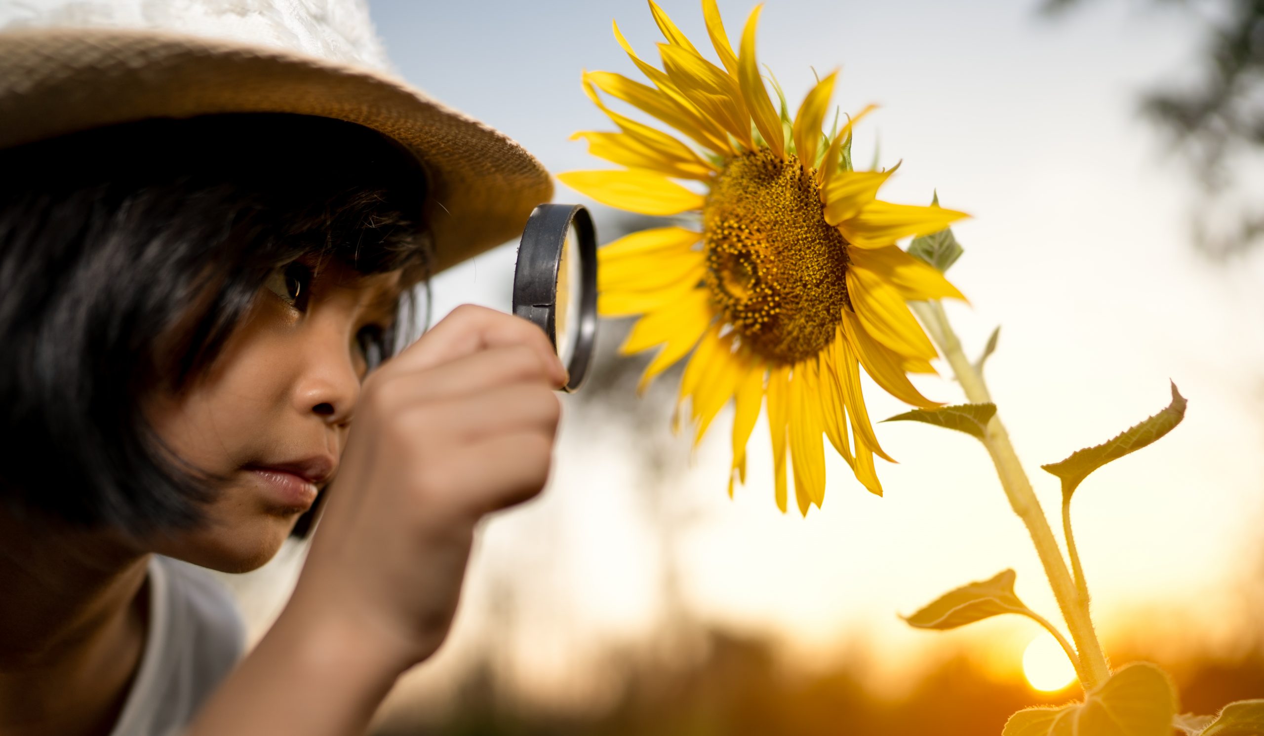 Flower Worksheets For Summer Learning STEM Supplies