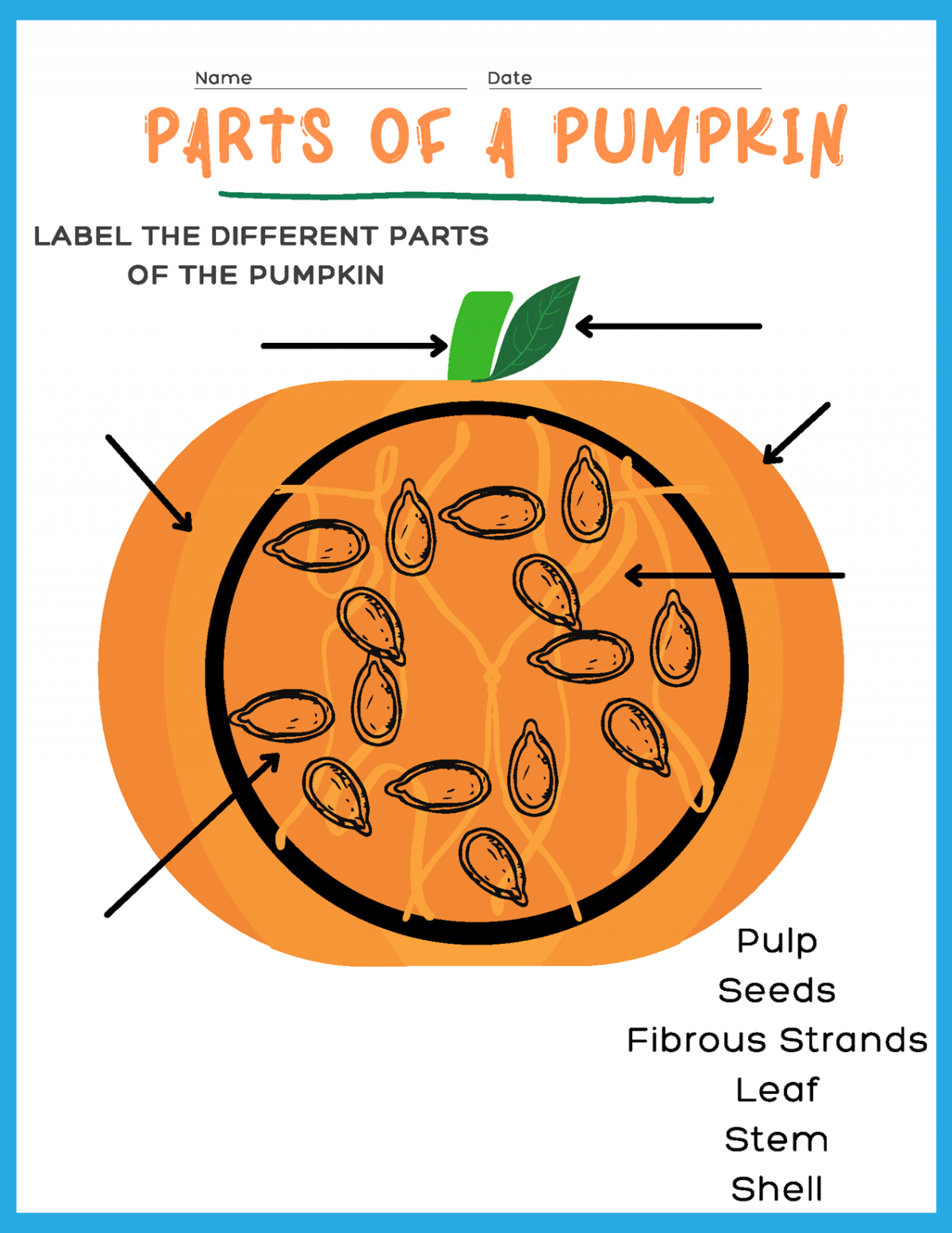 STEM Pumpkin Activities - STEM Supplies