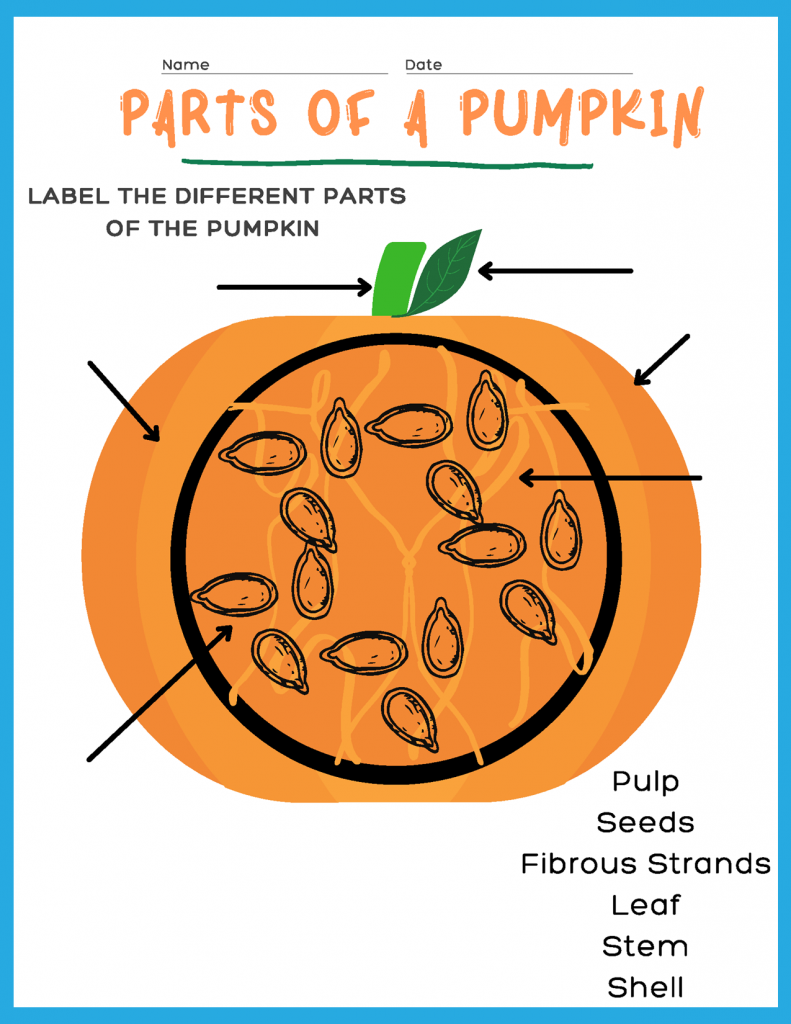 STEM Pumpkin Activities - STEM Supplies