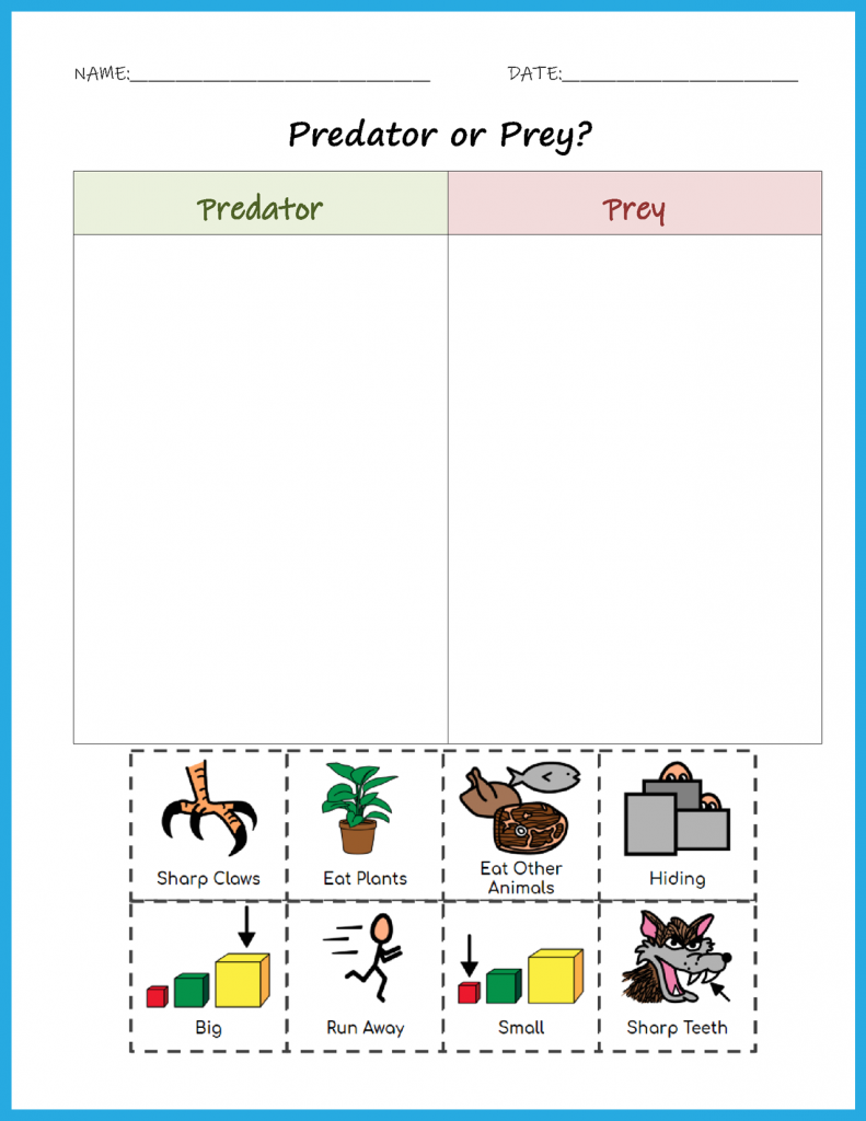 Intro to Ecology: 5 Free Worksheets - STEM Supplies