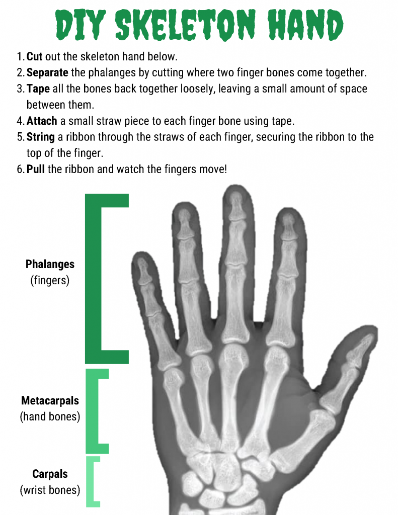 Spooky STEM: 3 Halloween Activities - STEM Supplies